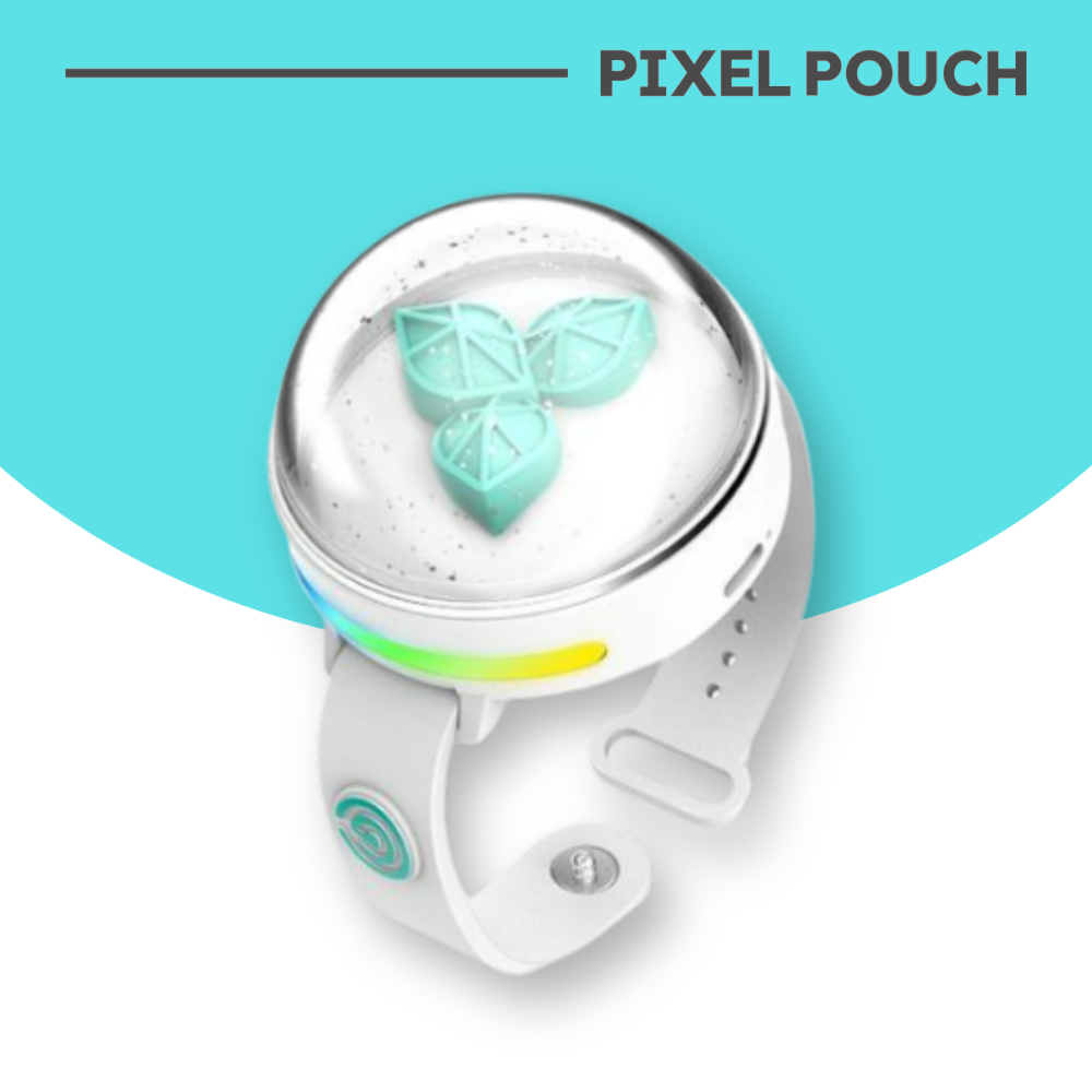 DAY6 OFFICIAL LIGHT BAND VER 3 – PIXEL POUCH